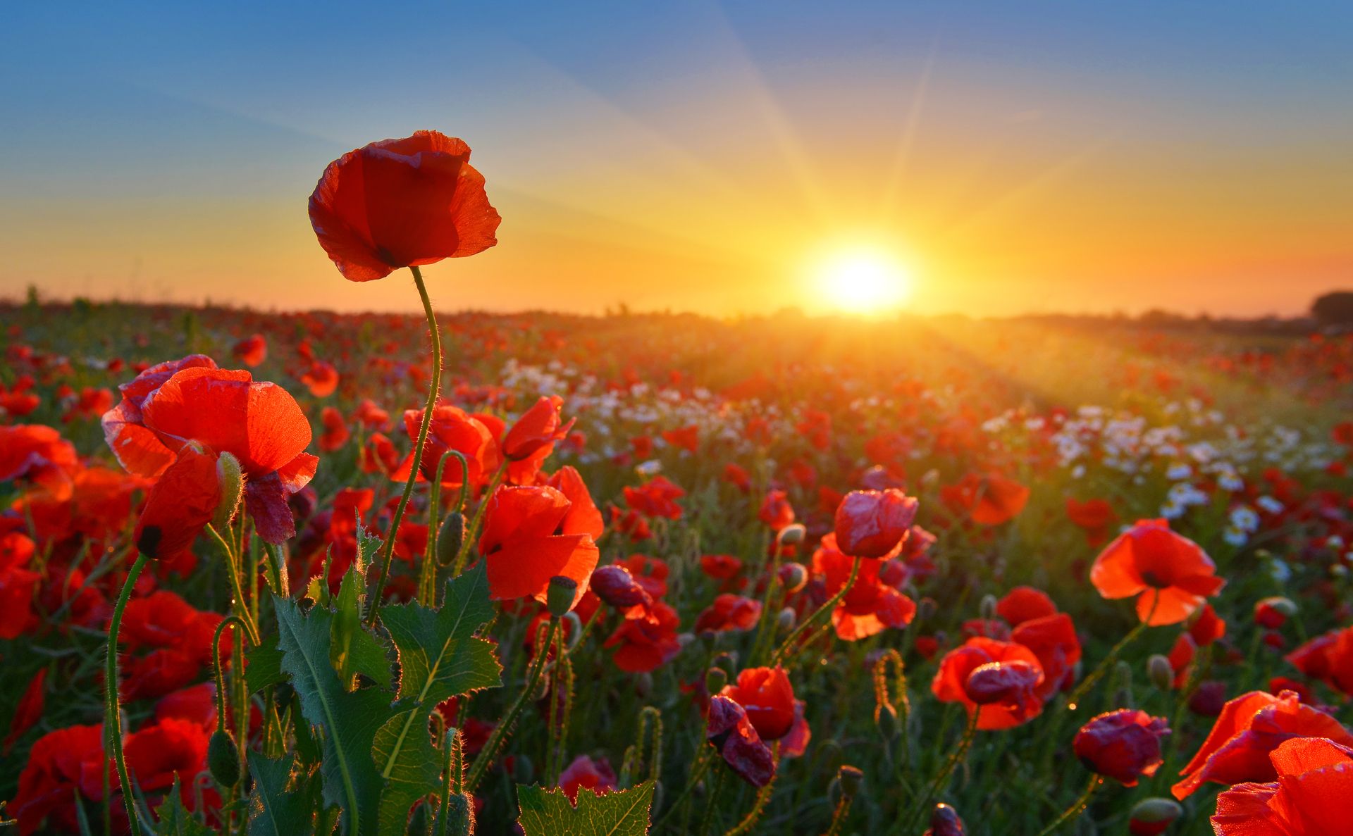 Start | Elbe Elster Energien